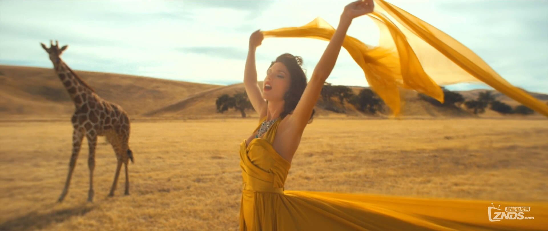 [高清MV]Taylor Swift - Wildest Dream 2015[1080P/MKV/468MB]+[中英字幕108..._4K ...