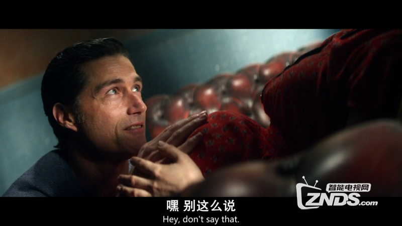 2015西班牙恐怖/科幻《灭绝：丧尸屠城》BD1080+720P中英字幕_影音爱好者_ZNDS