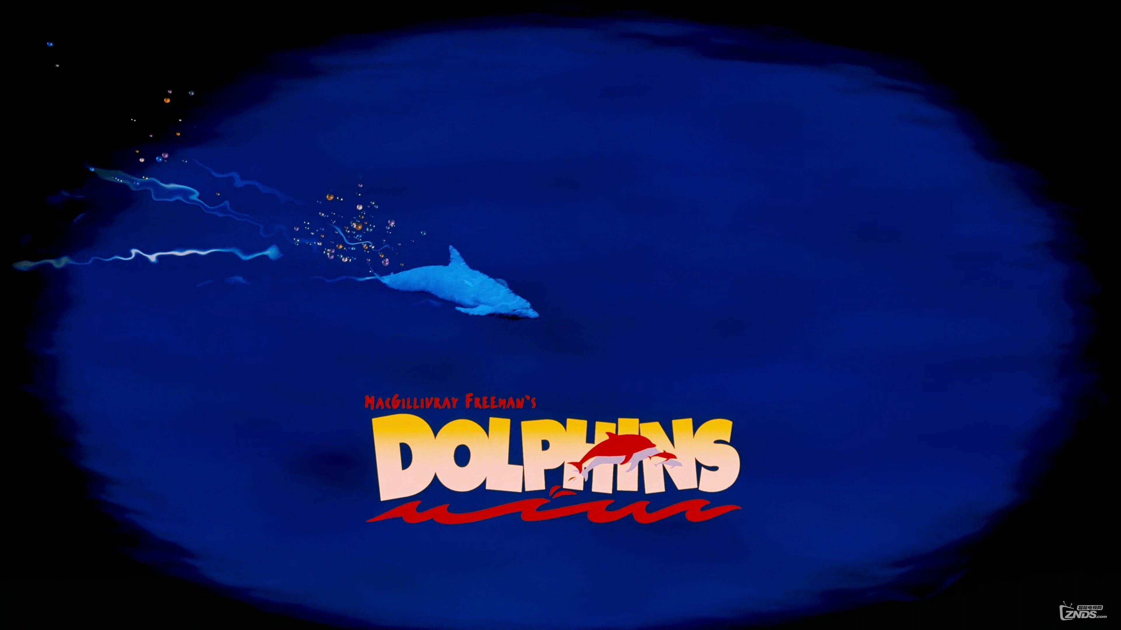 [4K IMAX 纪录片] 海豚 Dolphins 2000 [2160P/MKV/1.72GB]_影音爱好者_ZNDS