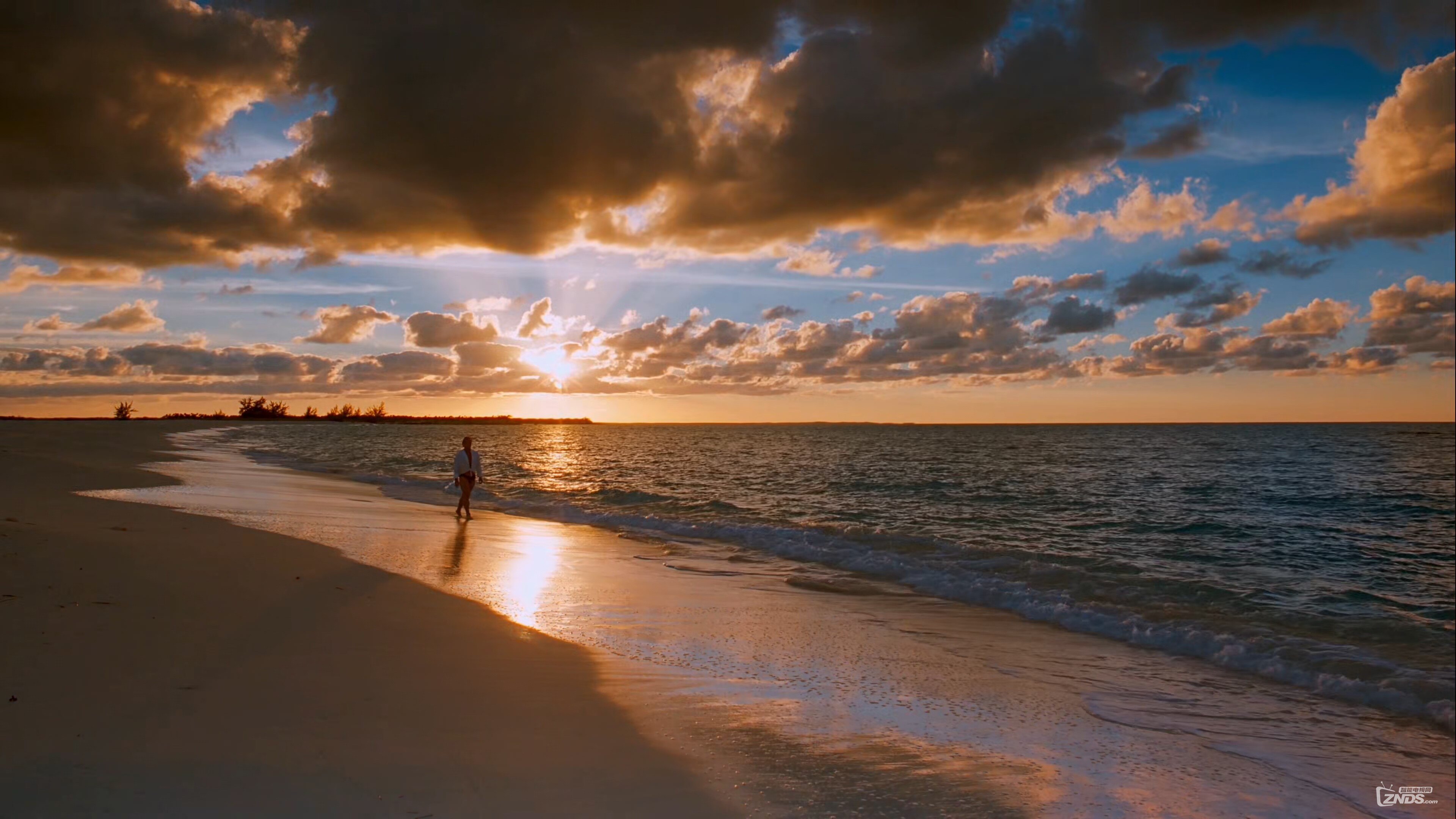 [4K IMAX 纪录片] 海豚 Dolphins 2000 [2160P/MKV/1.72GB]_影音爱好者_ZNDS