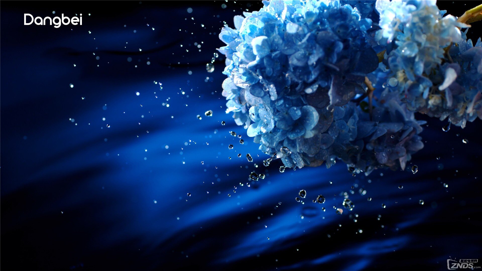 2022最新当贝4K演示片：极致清晰、鲜艳、通透画面色彩！_4K资源交流_ZNDS