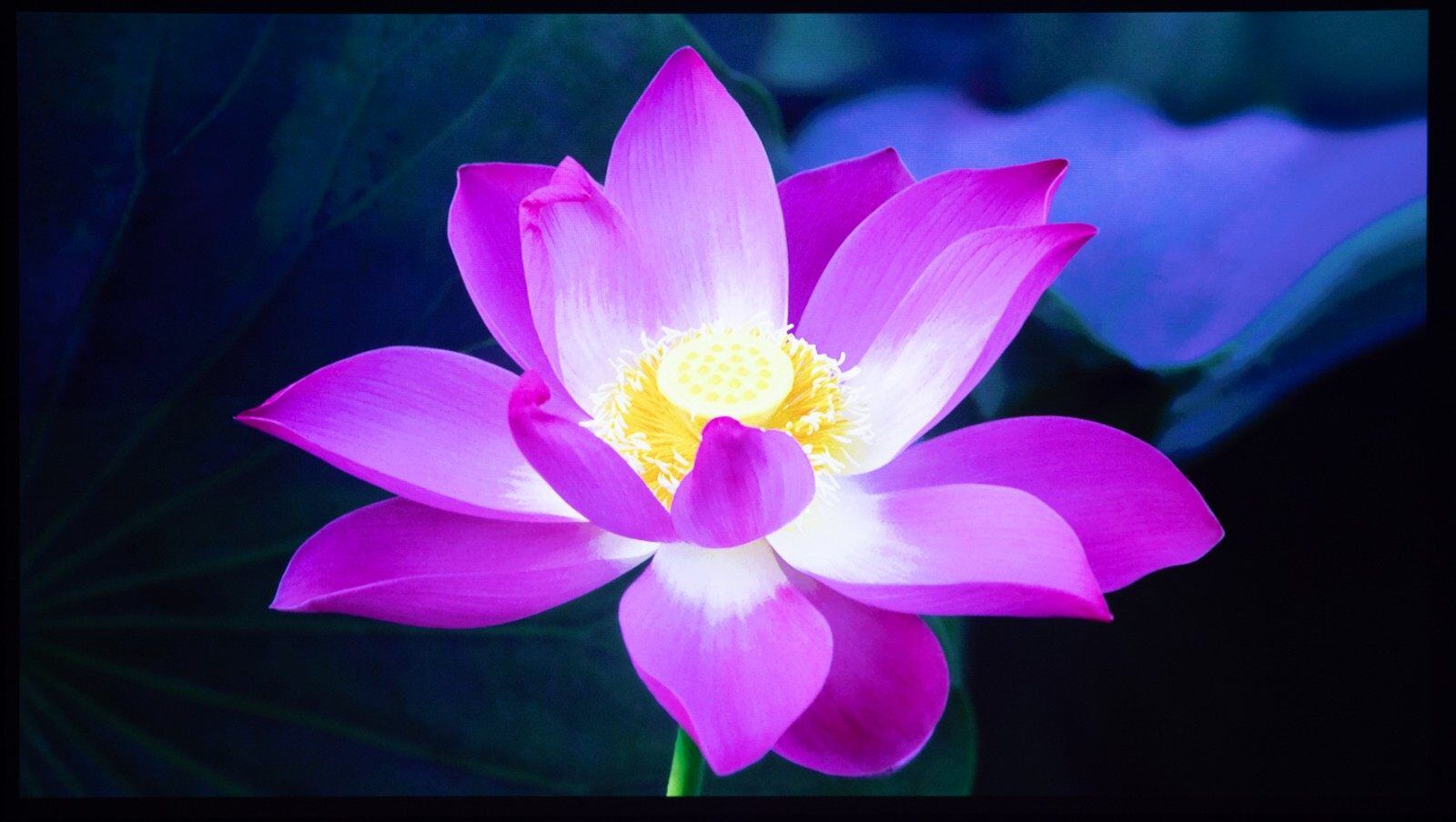 极米RS Pro 3相比RS Pro 2投影有什么区别？哪个更好？_极米投影_ZNDS