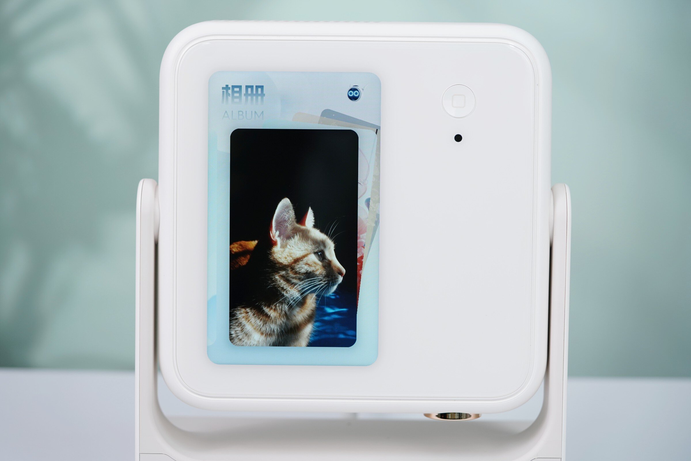 一文看懂当贝D6X高亮版具体配置 当贝D6X高亮版怎么样_当贝投影_ZNDS